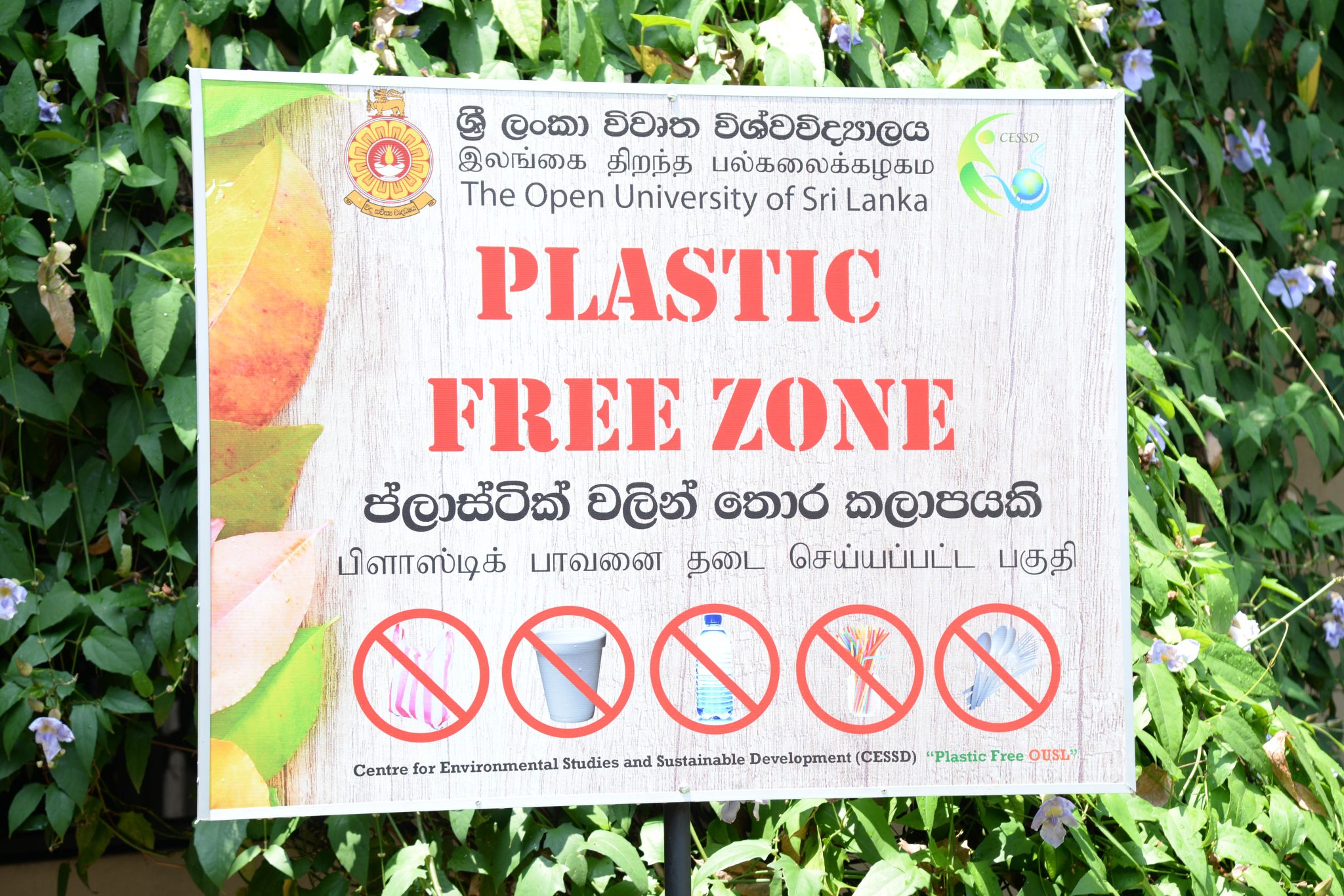 Centre for Environmental Studies and Sustainable Development (CESSD ...