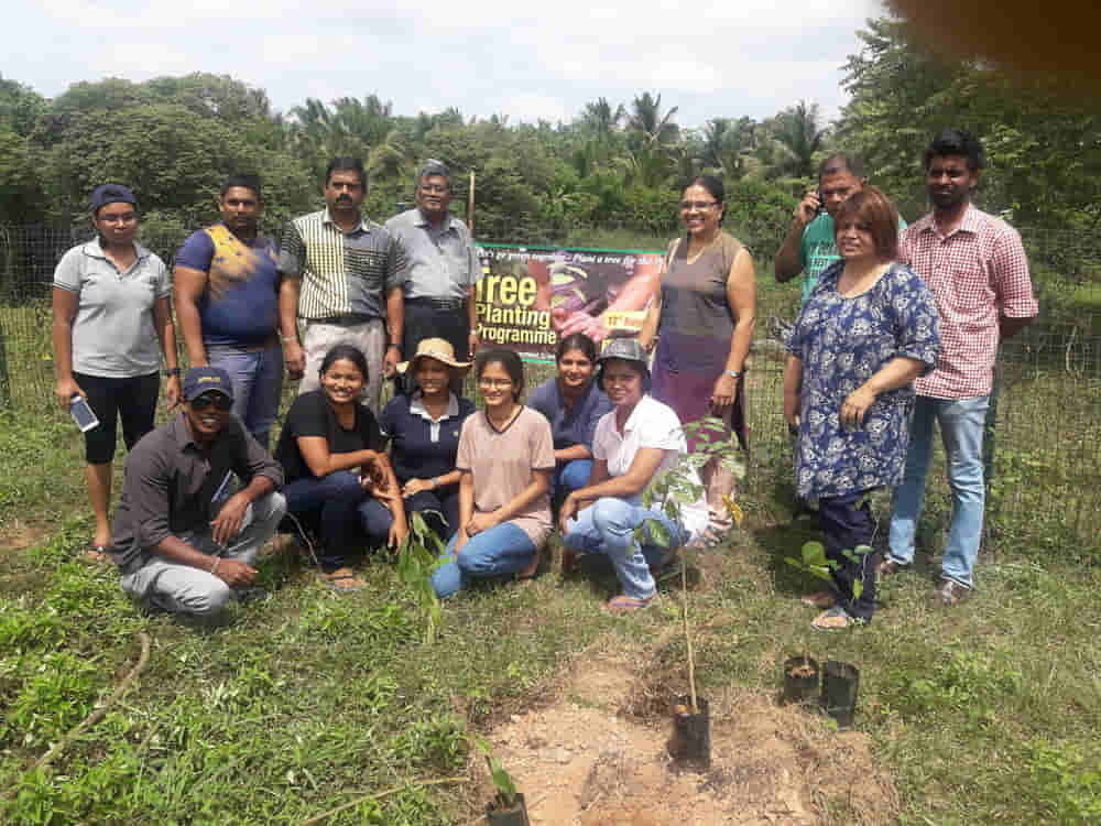Tree-Planting-Programme-2017-01 – The Open University of Sri Lanka